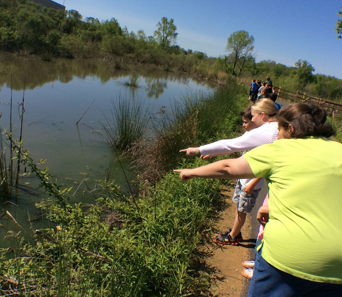 Hector Henry Greenway adds half-mile wetlands section | News ...