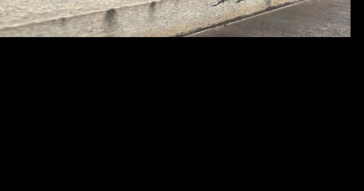 DAR Wreaths Across America effort among the tops in state