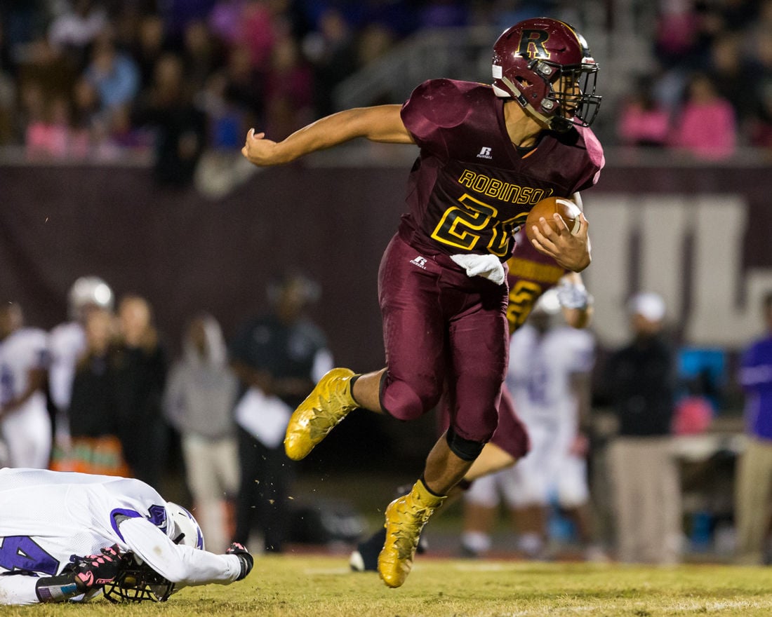 Jay M Robinson High School