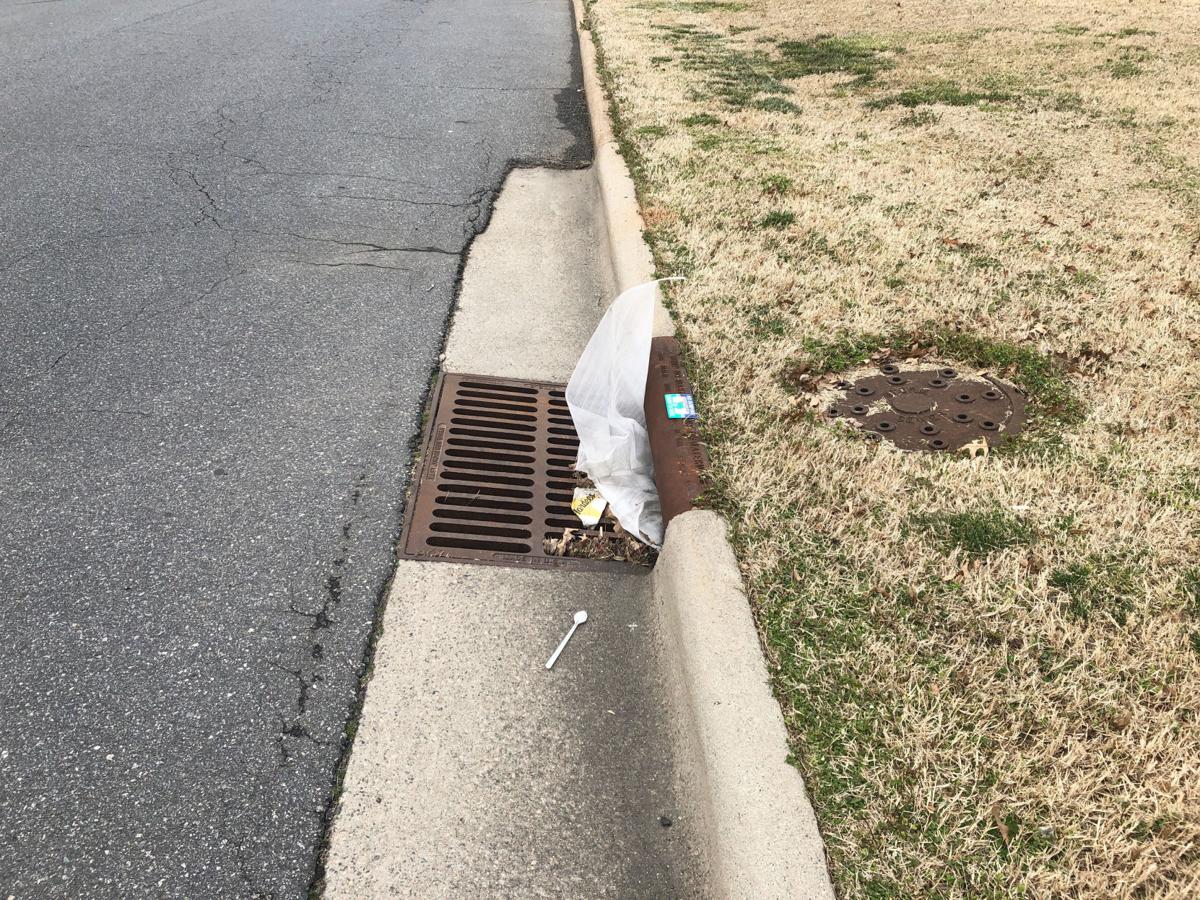 Friday Five: Construction, dogs and litter