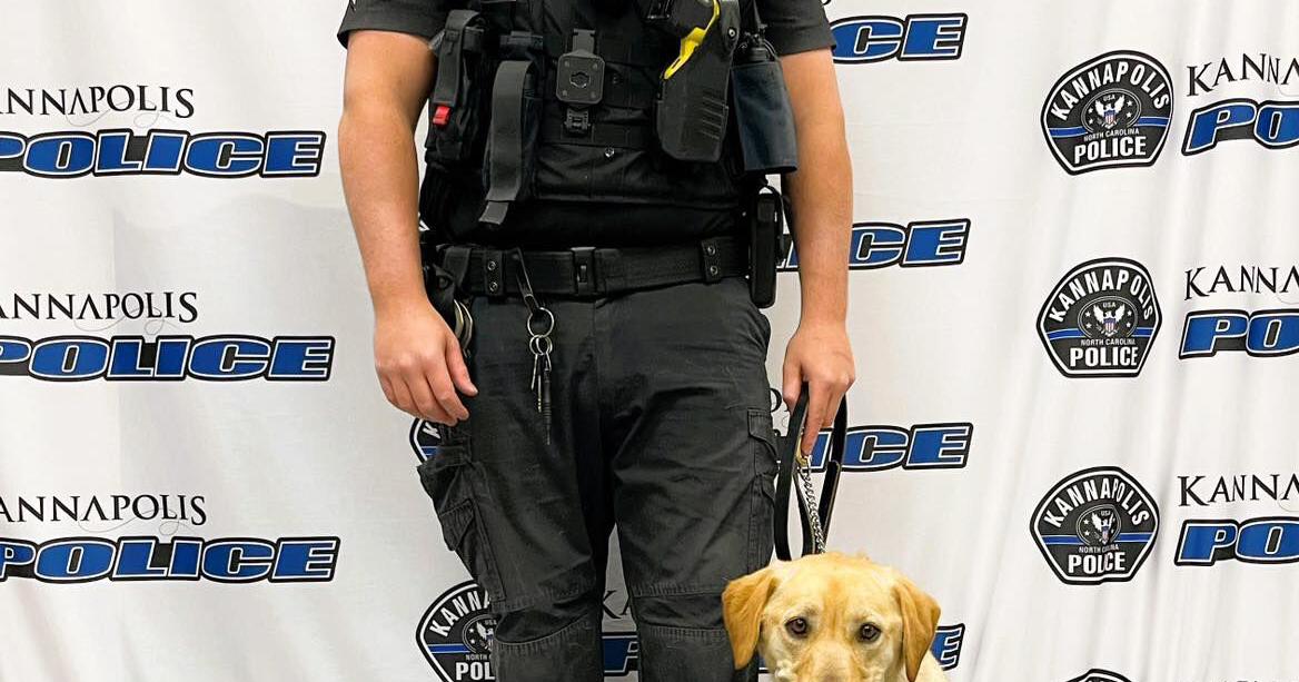 Sniffing out crime - meet the newest member of KPD