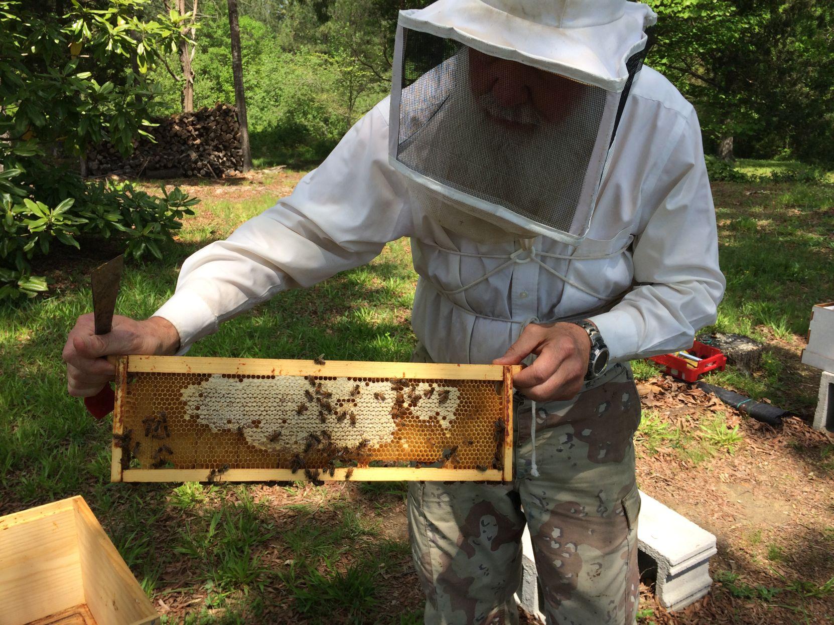 Local keepers stress importance of bees