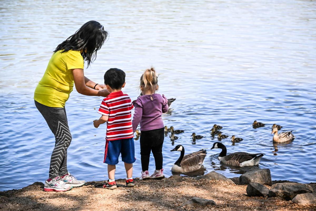 Cabarrus County wants to know how parks and active living centers ...