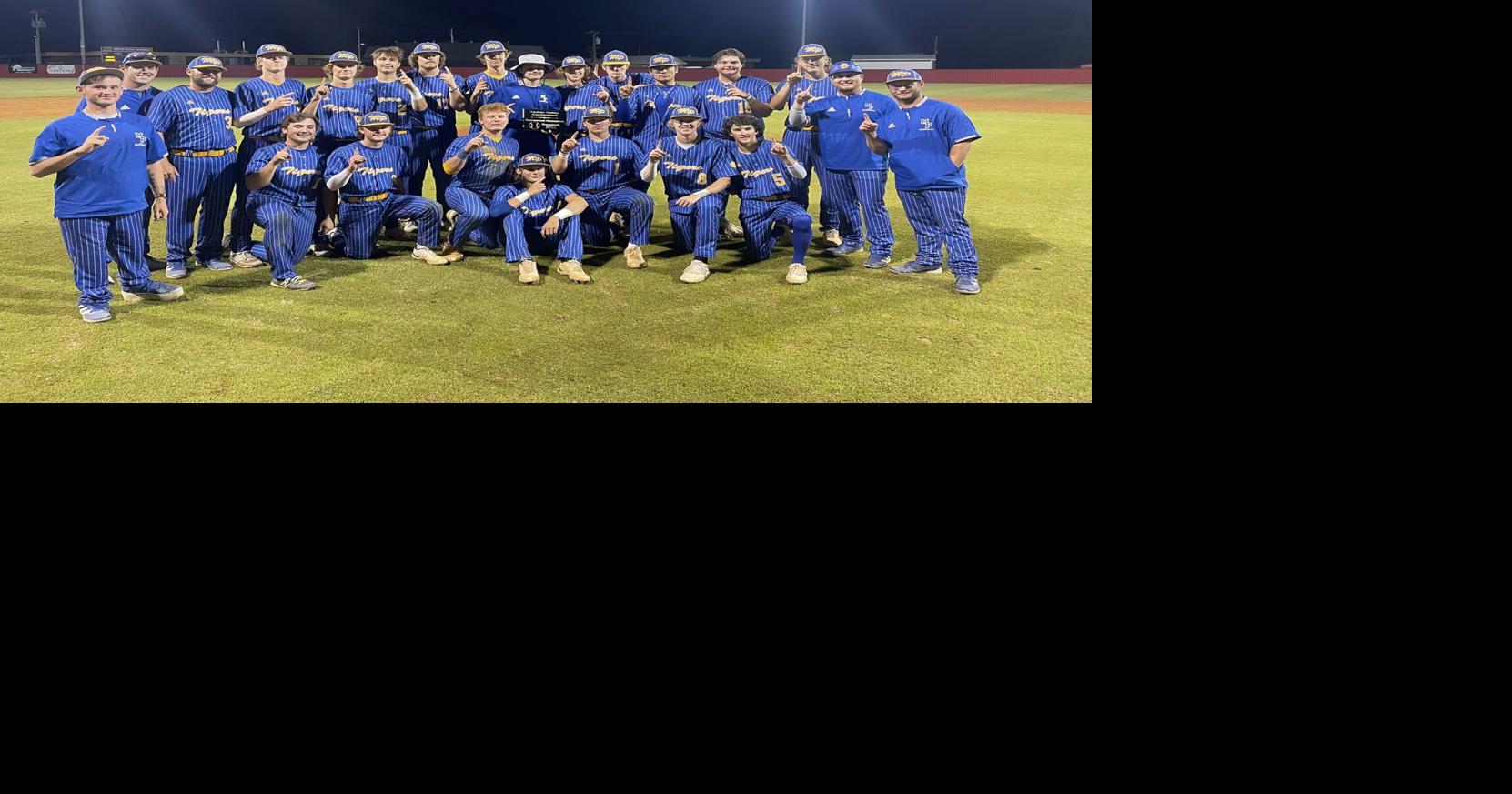 HIGH SCHOOL BASEBALL: Tigers win their second straight YVC tournament ...