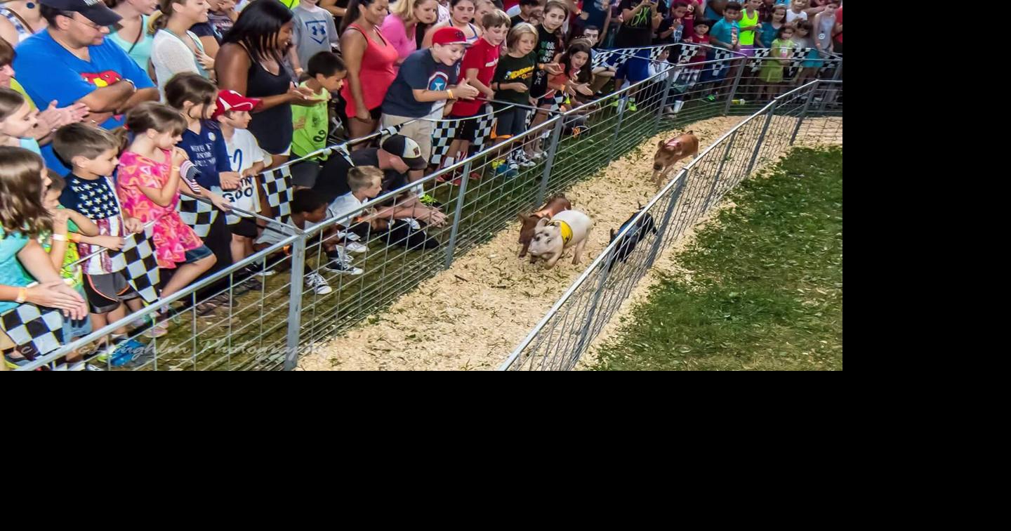 Racing pigs coming to Jiggy with the Piggy