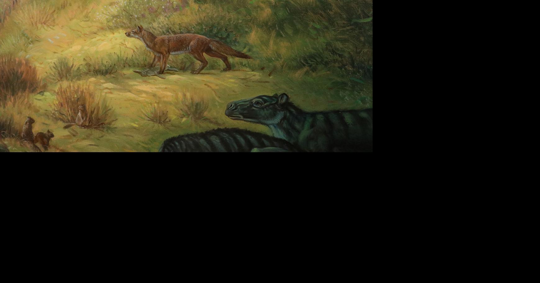 Rare fossil of ancient dog species discovered by paleontologists