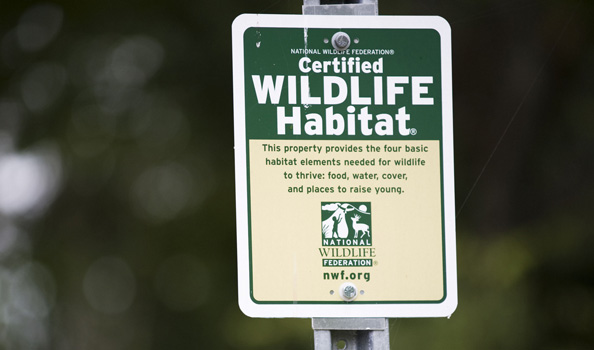Concord seeks Wildlife Habitat Certification
