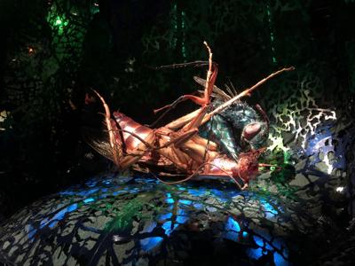 Bug Lab makes North American debut in Charlotte