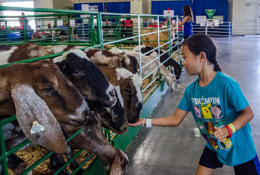 Cabarrus County Fair | Gallery | independenttribune.com