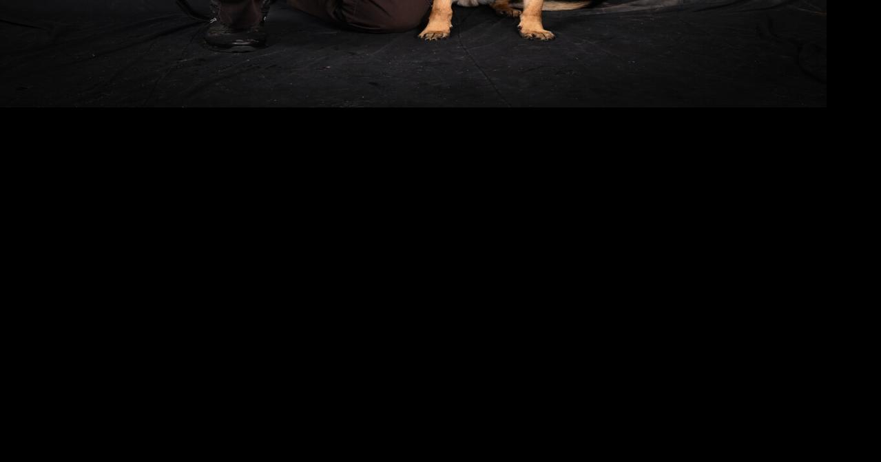 Meet the Cabarrus Sheriff's Office's new K9 team