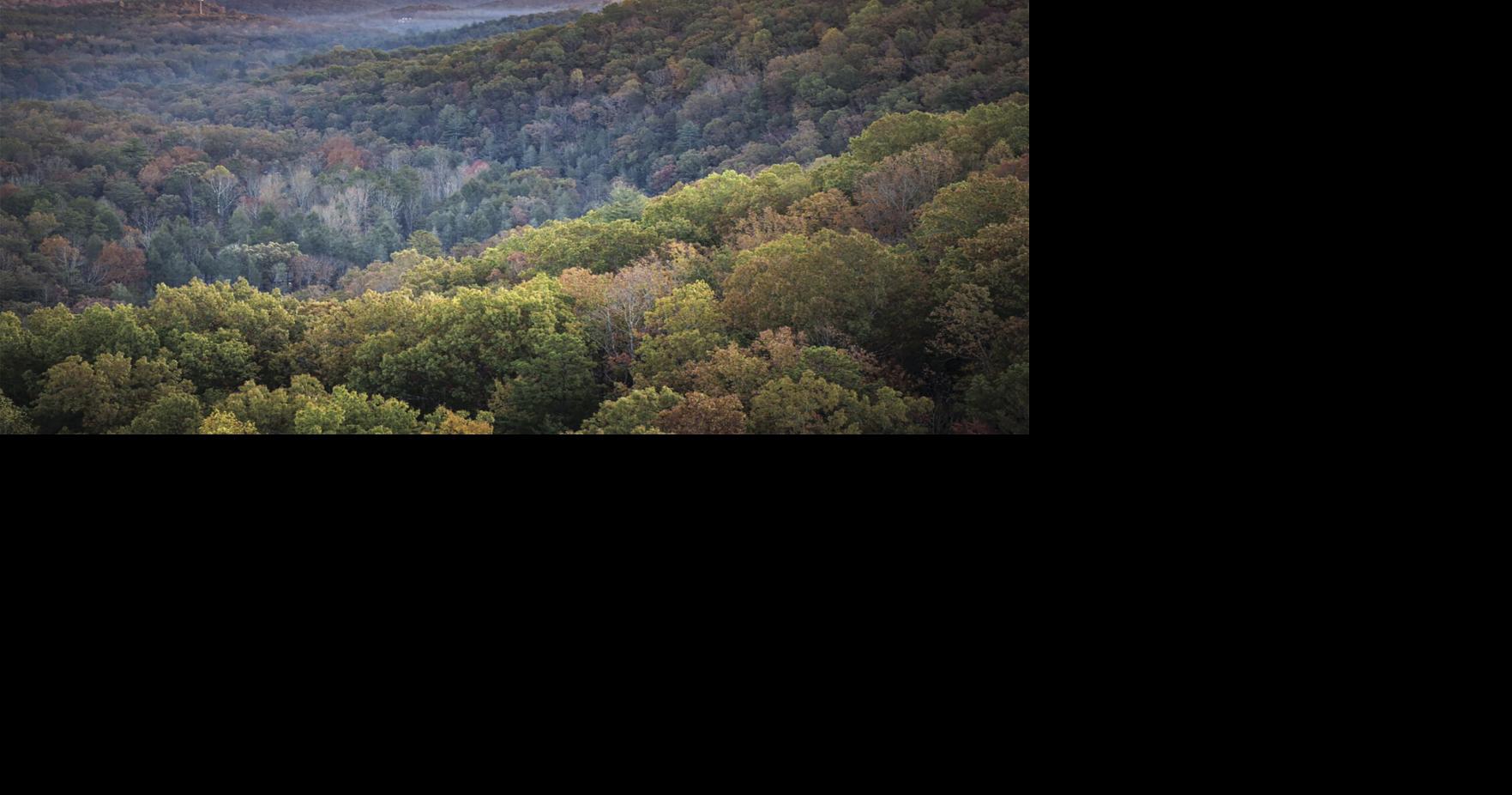 Planned SC nature preserve to join 10,000 acres of protected land in ...