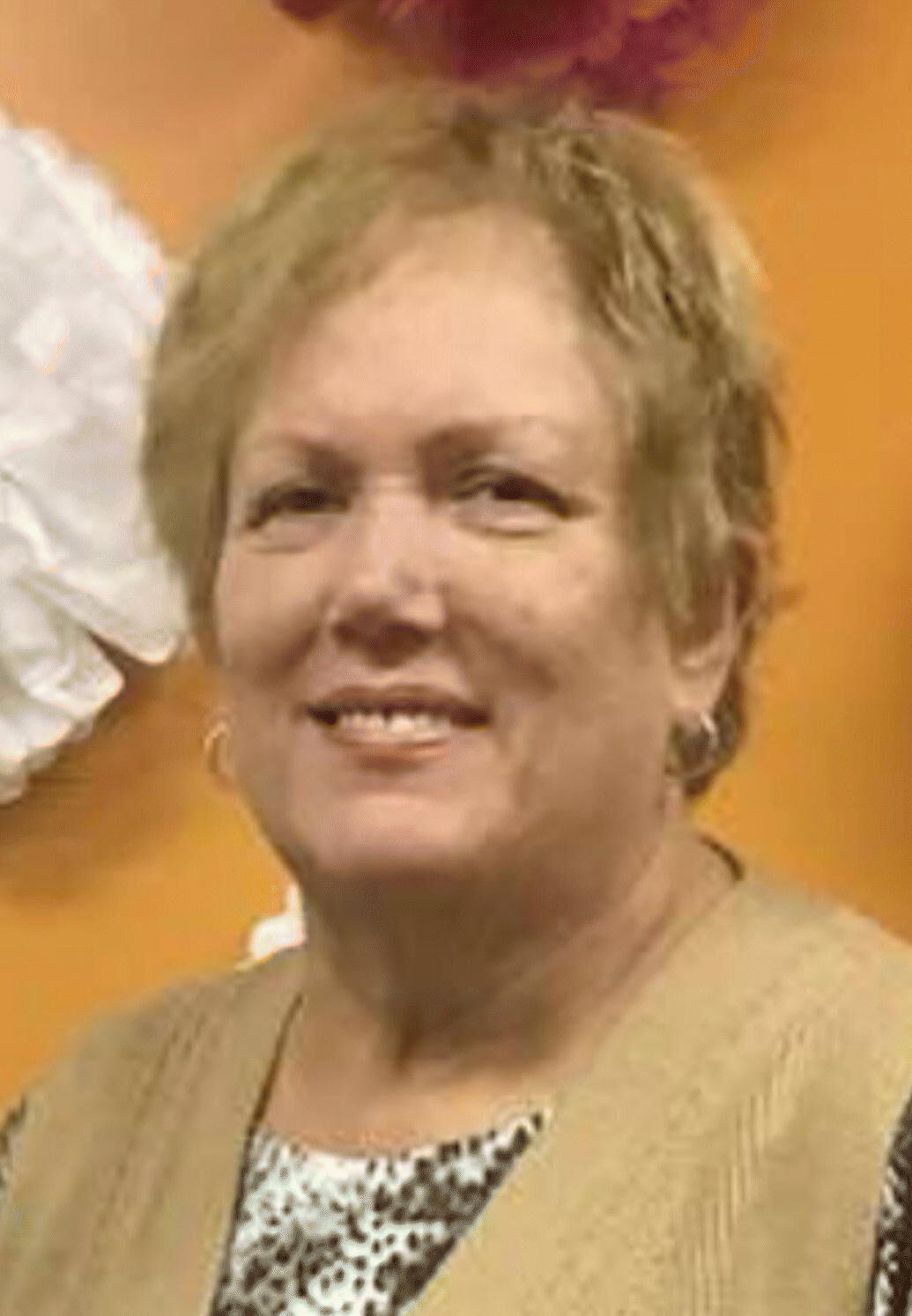 Carol Holsonback | Obituaries | indexjournal.com