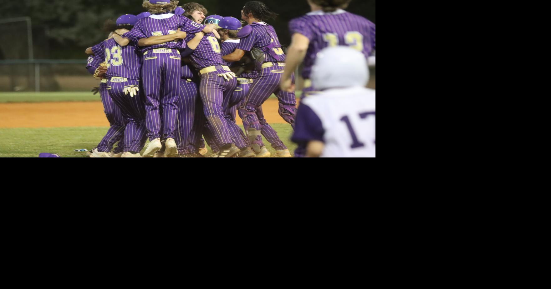 Ware Shoals baseball sweeps Dixie to earn region championship | Sports ...