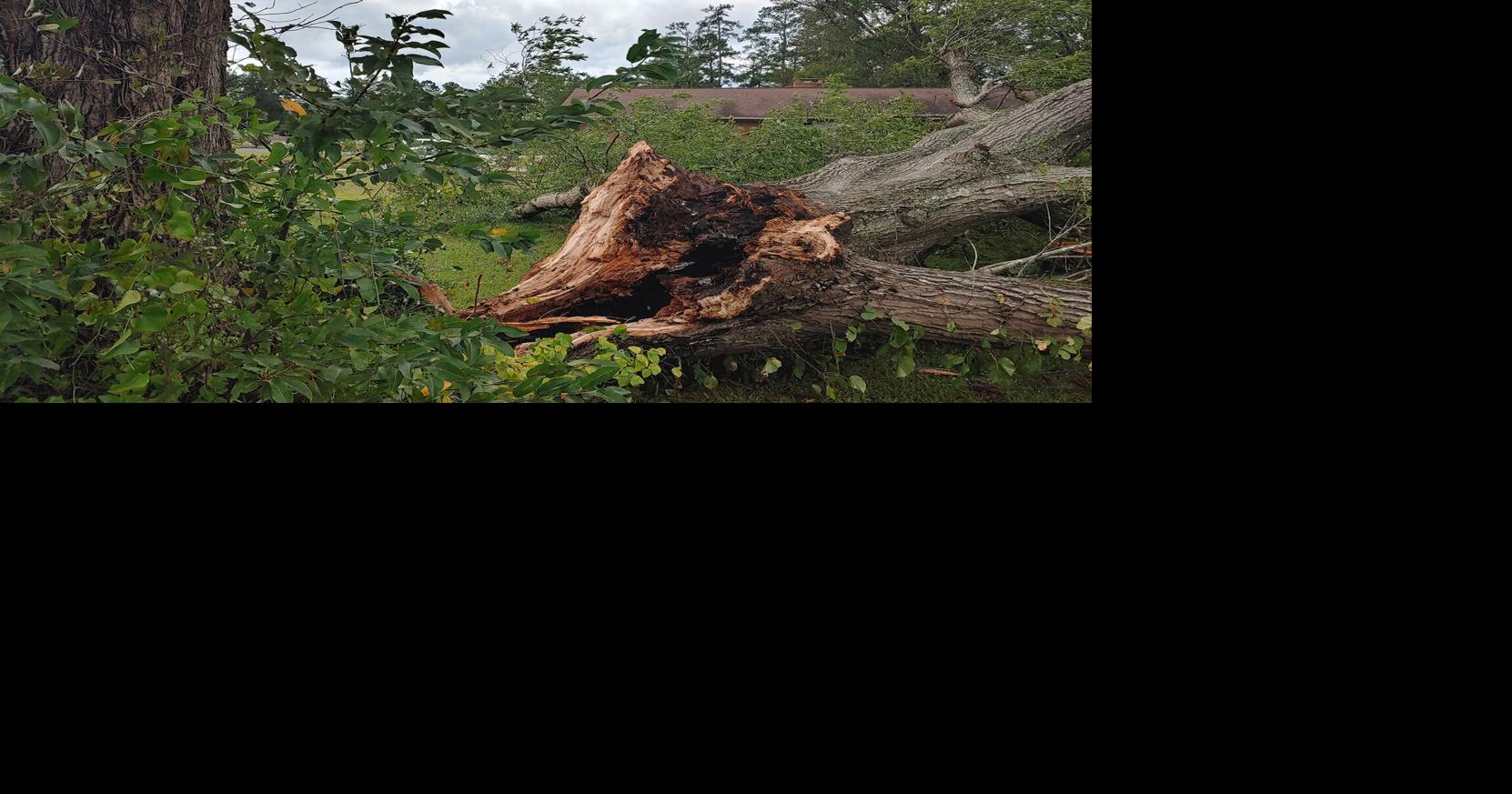 Lakelands slowly recovering from Helene | Meteorology | indexjournal.com