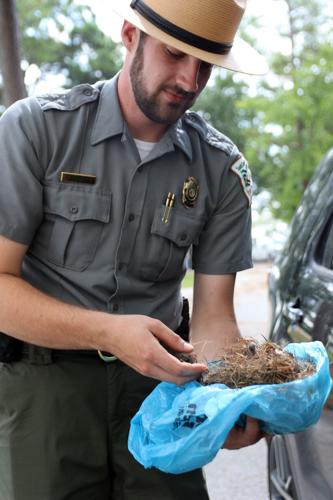 Protecting the people's park: Rangers work alongside visitors to ...