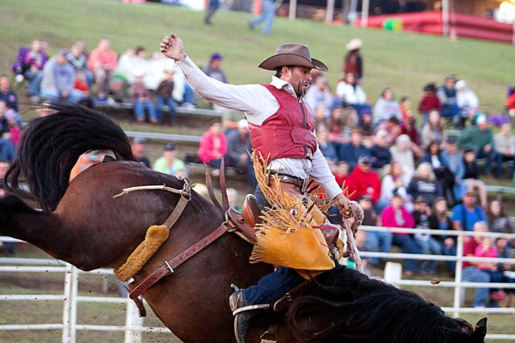 PHOTOS: River Oaks Arena IPRA Pro Rodeo | News | indexjournal.com