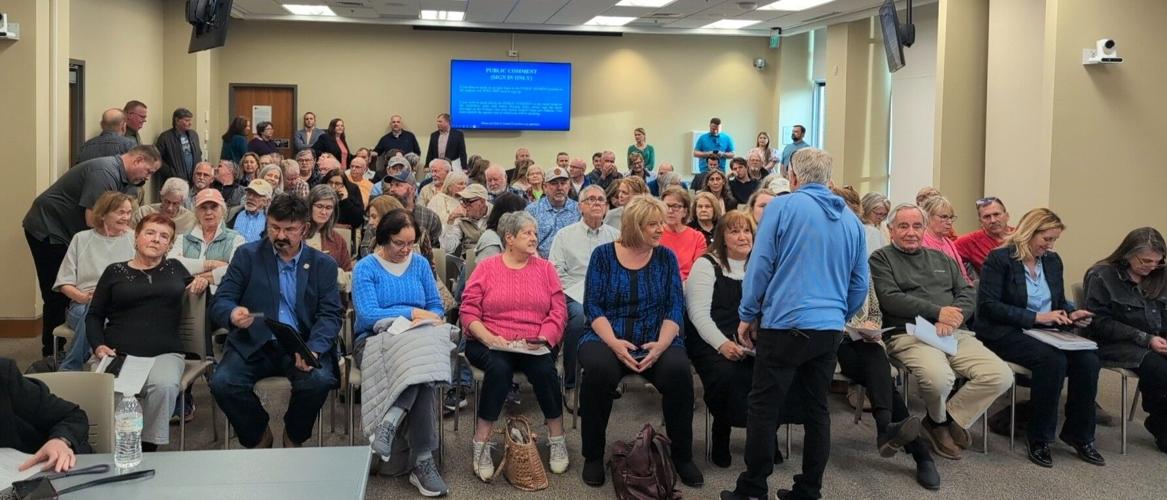 Slow down: Council delays decision on proposed 100-home development ...