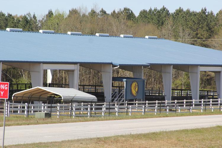 A complex history of the Jeff May Complex | News | indexjournal.com