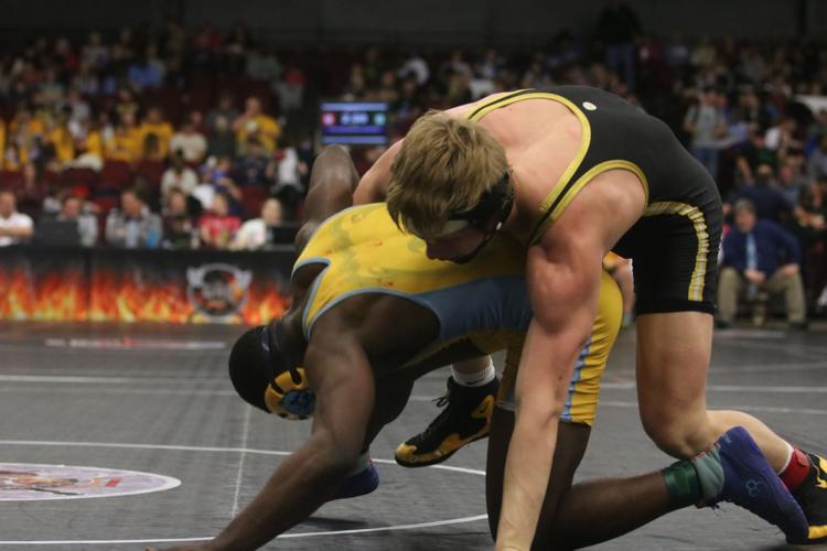 Cason Howle caps off undefeated year as I-J Wrestler of the Year ...