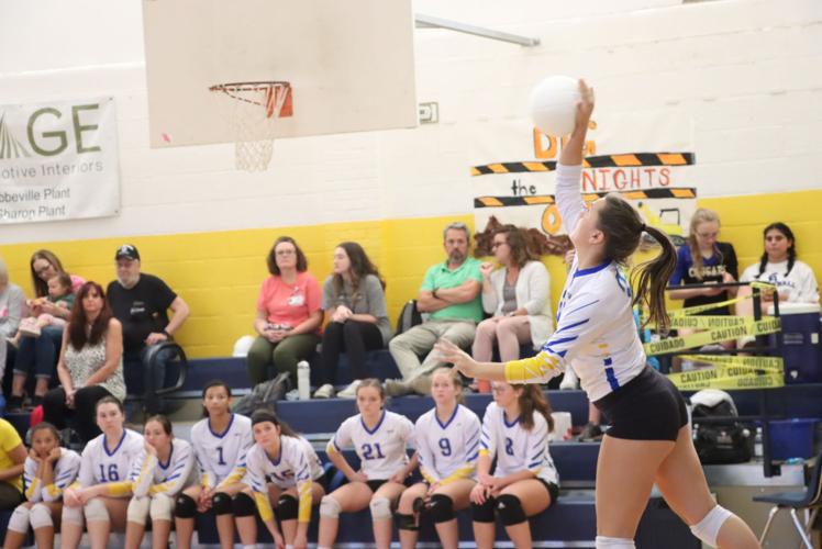 Jillian Mapes breaks 1,000 career assist mark | Sports | indexjournal.com