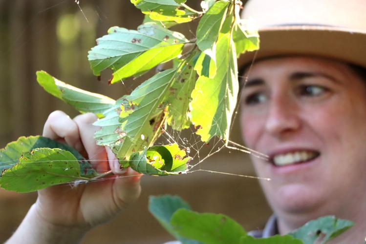 Along came a spider: Park program brings people face to face with eight ...