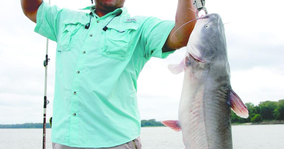 Upstate Sportsman: Summer catfish strategies | Sports | indexjournal.com