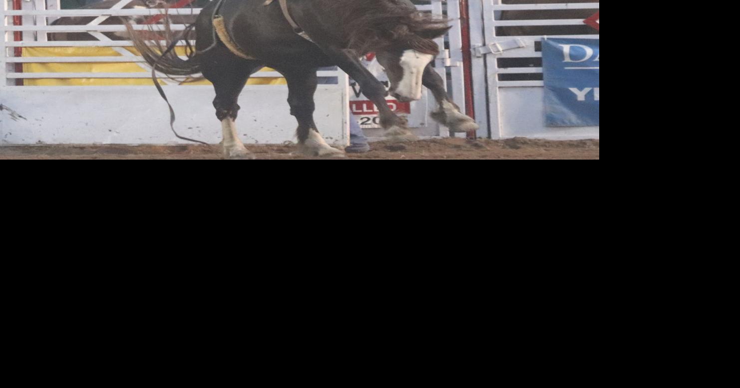Not their first rodeo | News | indexjournal.com