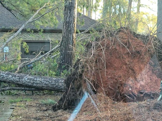 Thursday storms knocked out power, downed trees across Lakelands ...