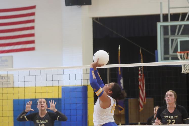 Khloe Cheeks Named Lakelands Volleyball Player of the Year | Sports ...