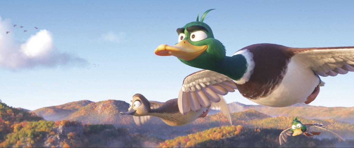 Movie Review: A helicopter father flies his duck family south in ...