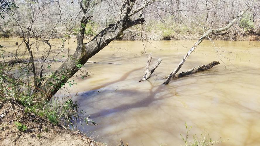 Authorities recover Donna Babb's body 5 months after she was reported ...
