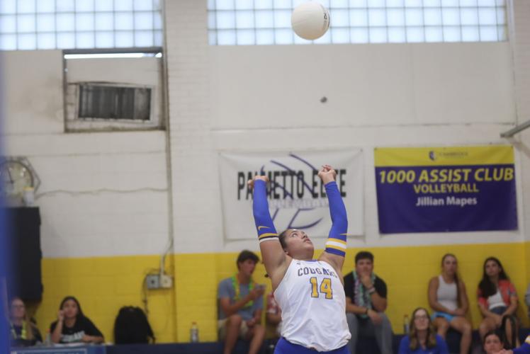 Khloe Cheeks Named Lakelands Volleyball Player of the Year | Sports ...