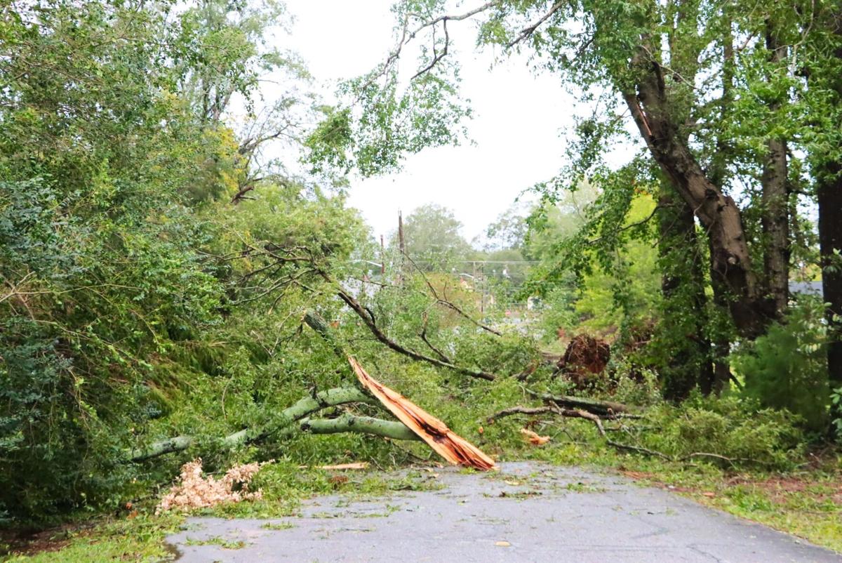 'I've never seen anything like this': Greenwood residents reflect on ...