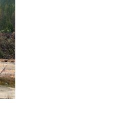 Greenwood County Landfill reports $45K revenue loss since Hurricane ...