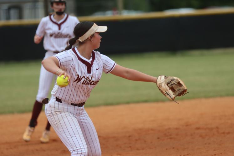 NS softball rolls past Clinton in playoff opener | Sports ...