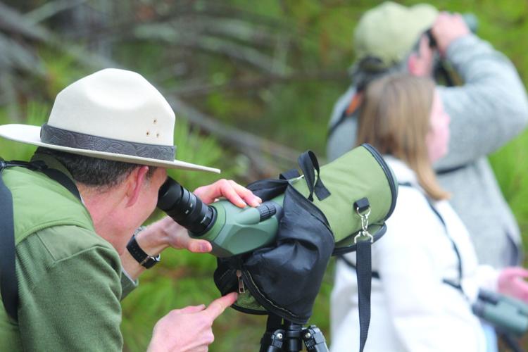Bird is the word: Walkers enjoy relaxing time with bird walk at Ninety ...