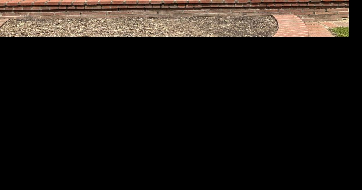 Make-A-Wish receives check | Lakelands Connector | indexjournal.com