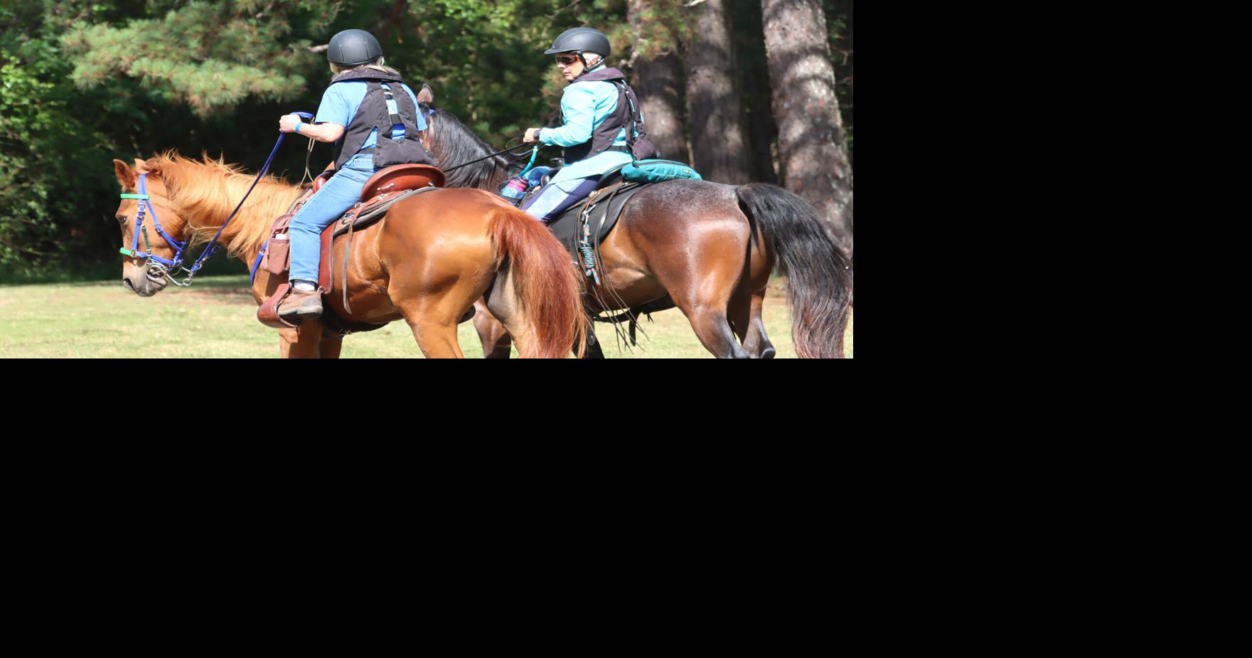 Hitchin' a ride: Horse riders visit Parsons Mountain to improve park ...