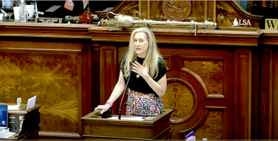 SC House tries again with 12 weeks of paid parental leave for state workers | News ...