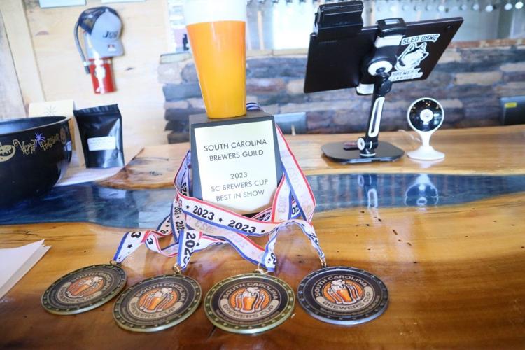 Top Dawg: Sled Dawg brews win medals, one named Best in Show | Unwind ...