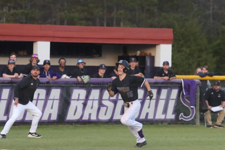 Stellar pitching, fielding lifts Saluda baseball to win over Pelion ...