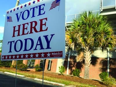 Federal lawsuit claims SC absentee ballot law makes voting harder for ...