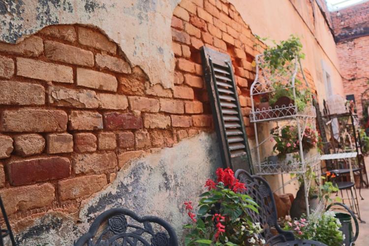 For the love of old things: Jan Norris' fascination with vintage goes ...