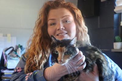 Samantha Brooks to serve as HSOG interim director | News | indexjournal.com