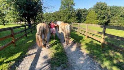 Pam Stone: Coming across the Fjords — again | Columns | indexjournal.com