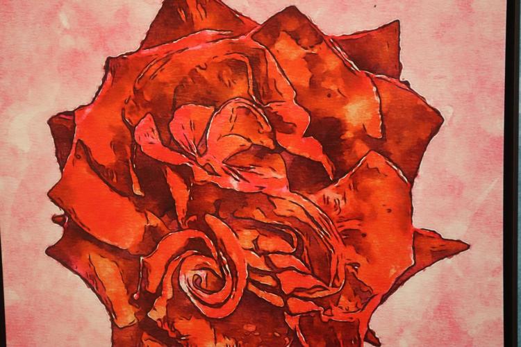 Rare Roses: Paintings of blooms with genetic differences are tribute to ...