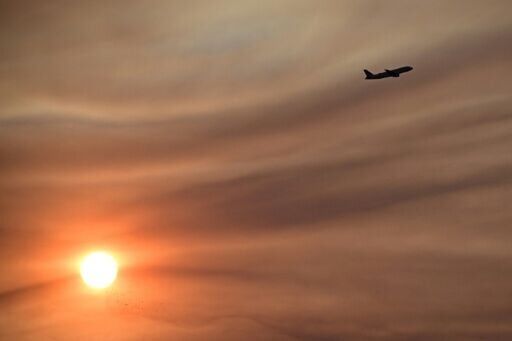Ticket price hikes not affecting summer air travel demand: IATA ...