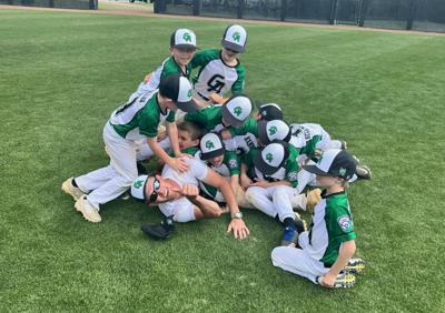 GALL 8U All-Stars capture third-straight District 1 title | Sports ...