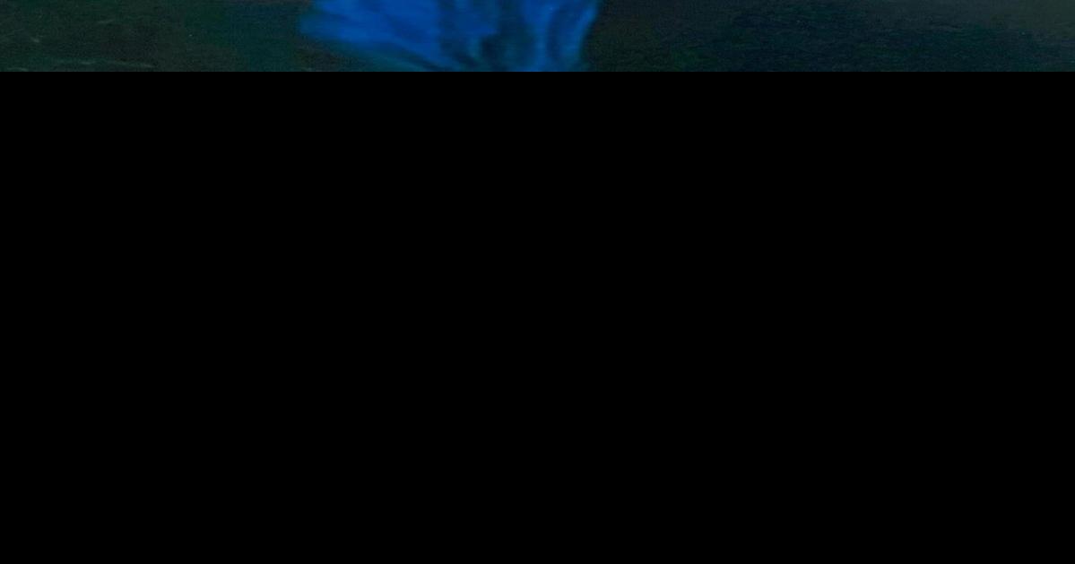 Mary S. Warren | Obituaries | indexjournal.com