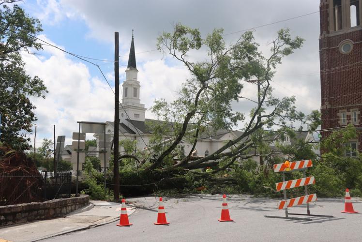 Severe thunderstorm downs tree and power lines in within City of ...